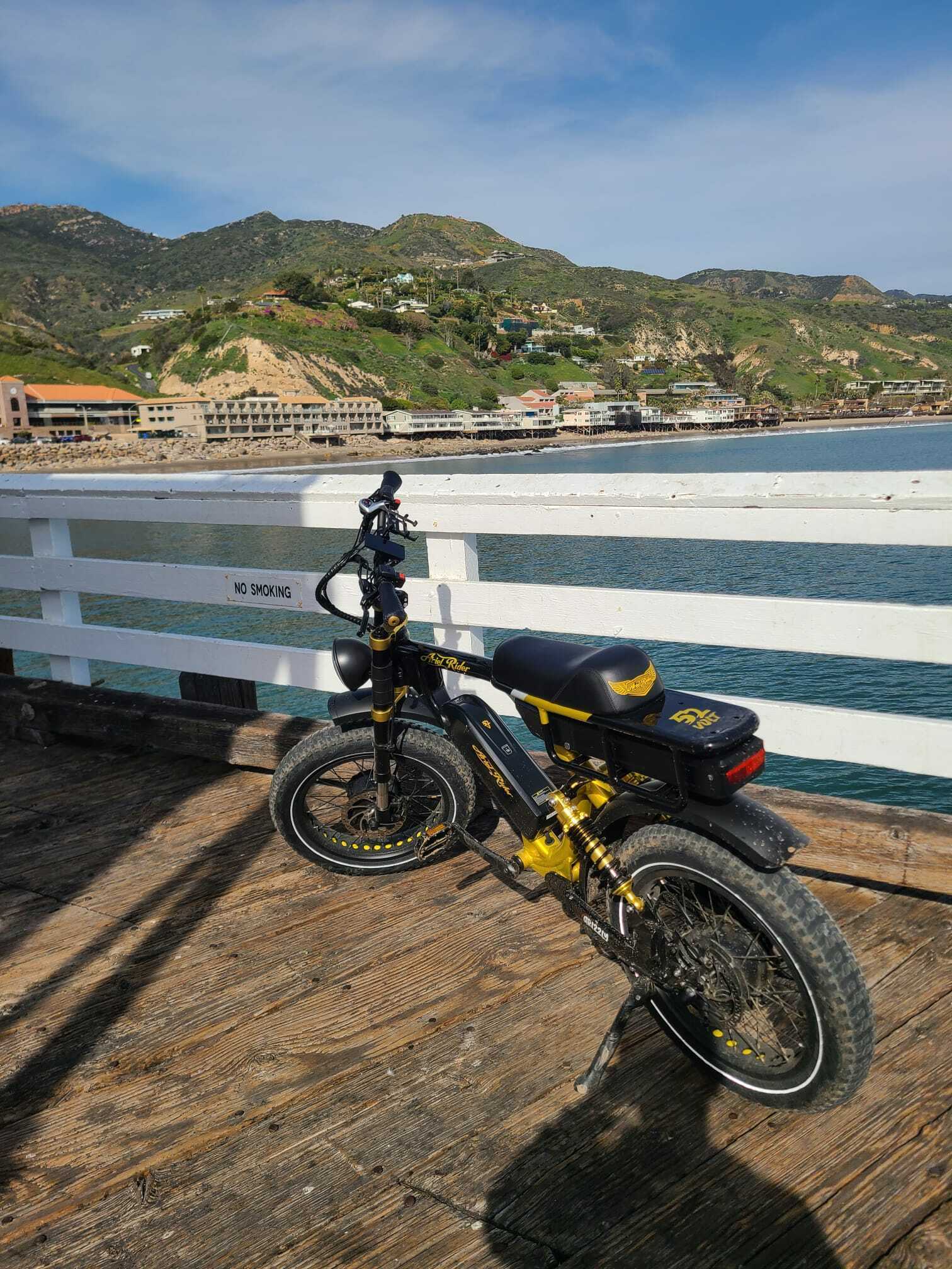 Stolen 2022 Ariel Rider Grizzly