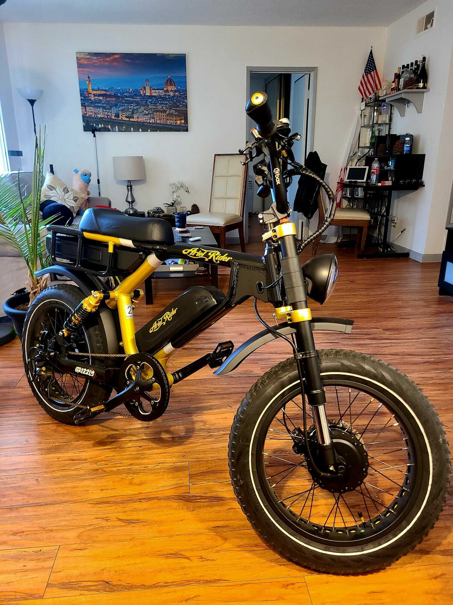 Stolen 2022 Ariel Rider Grizzly