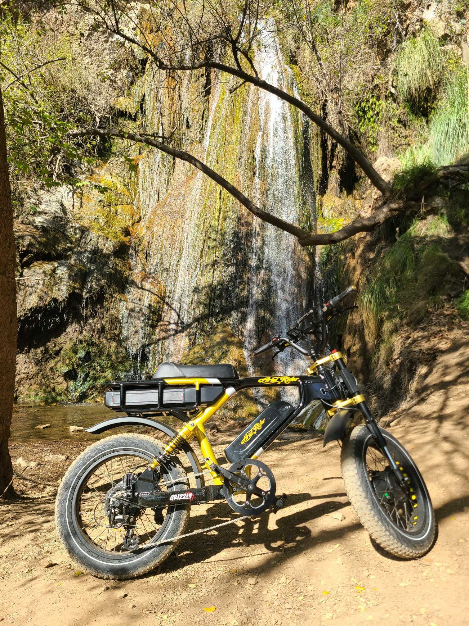 Stolen 2022 Ariel Rider Grizzly