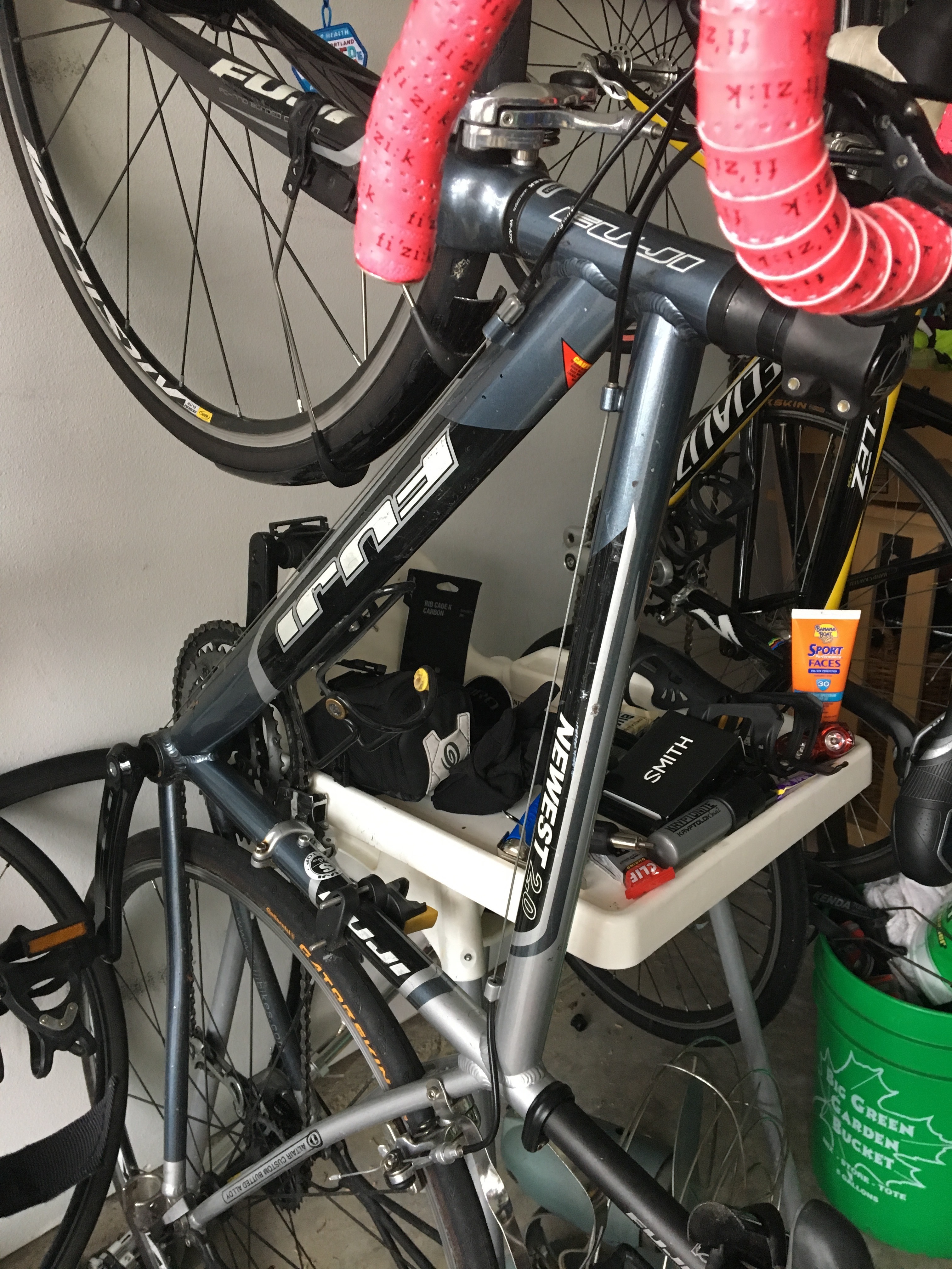 2006 Fuji Newest 2.0