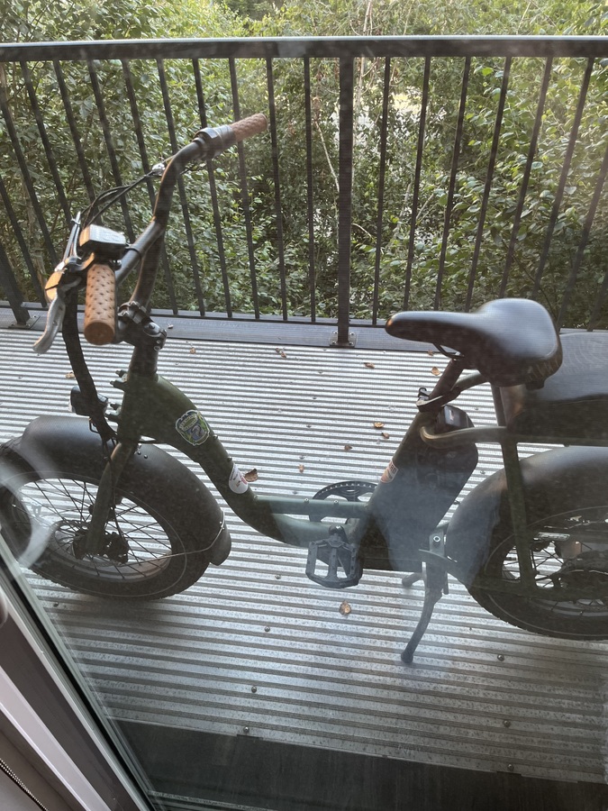 2022 Rad Power Bikes RadRunner 2