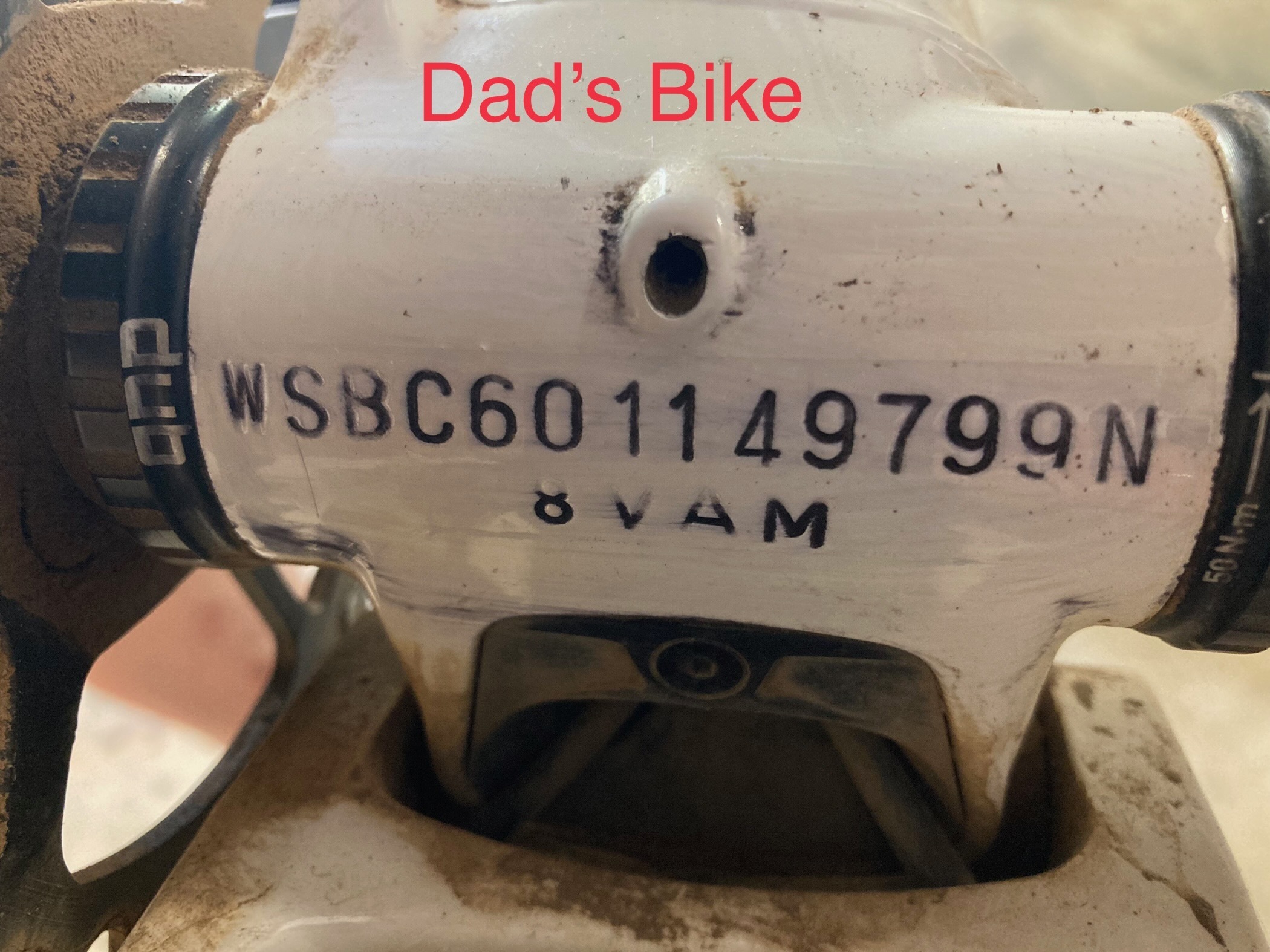 2021 Specialized STUMPJUMPER 29"