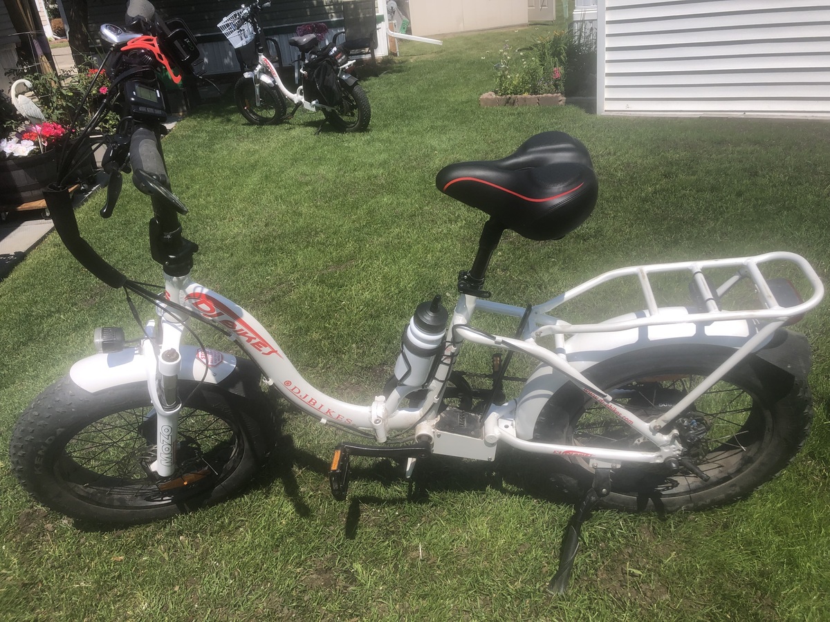 2022 DJ Ebikes Step through