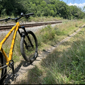 2022 Nukeproof Scout 290