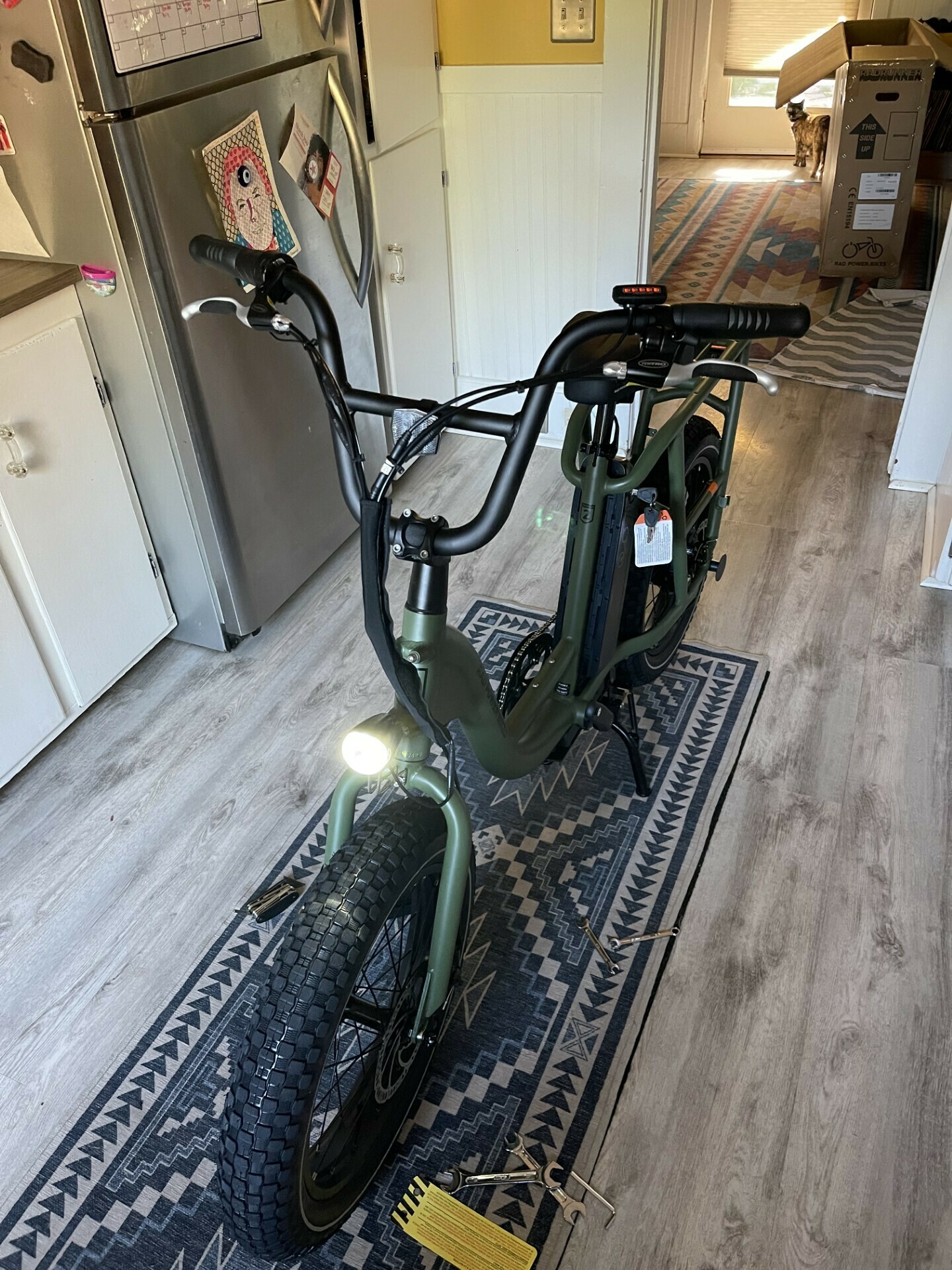 2022 Rad Power Bikes RadRunner2