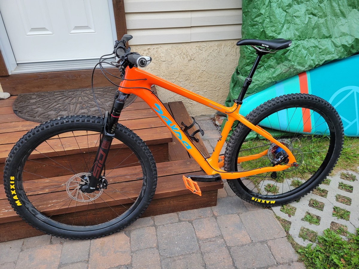 2017 Salsa Beargrease