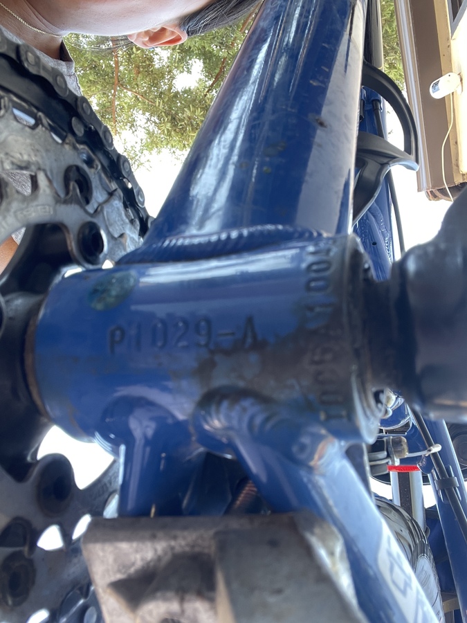 2006 GT Bicycles MBT Avalanche 2.0