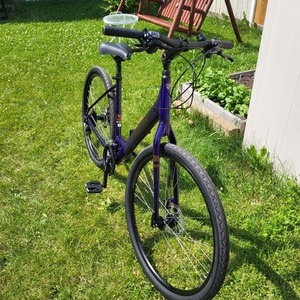 2022 Trek Verve 3 Disc Lowstep