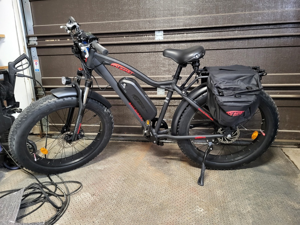 2023 DJ Bikes Fat Bike