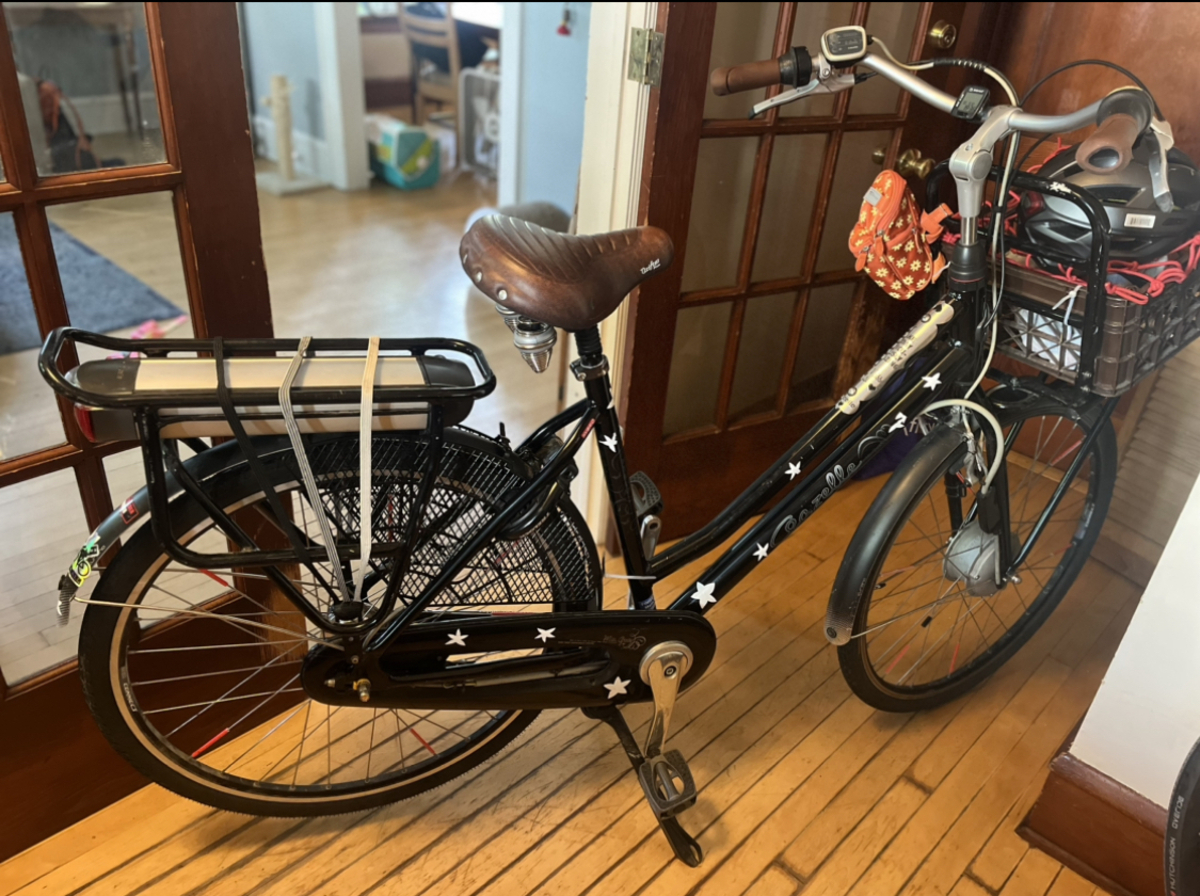 2012 Gazelle Miss Grace Ebike