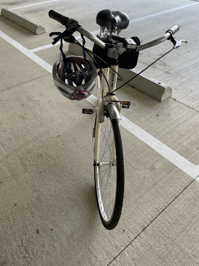2010 Schwinn Gateway