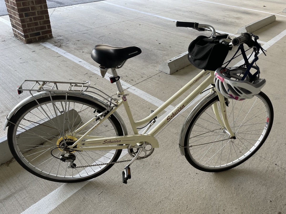 2010 Schwinn Gateway