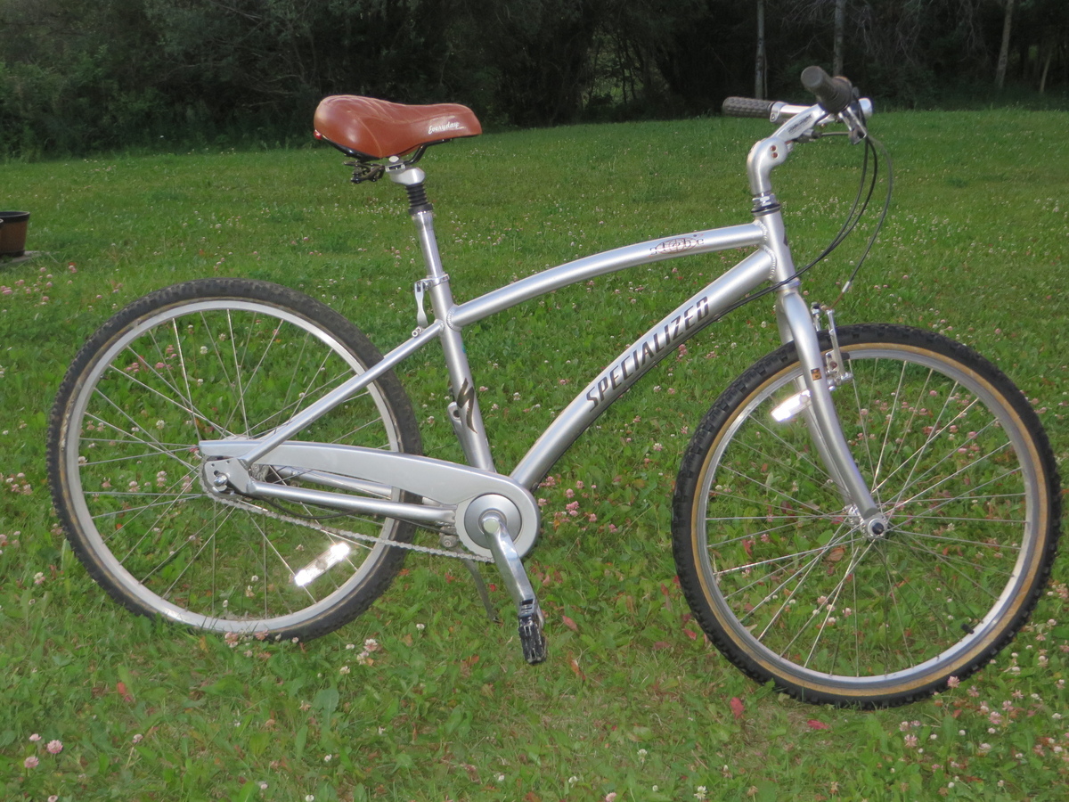 Specialized GLOBE with NEXUS 7 IGH