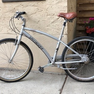 Specialized GLOBE with NEXUS 7 IGH