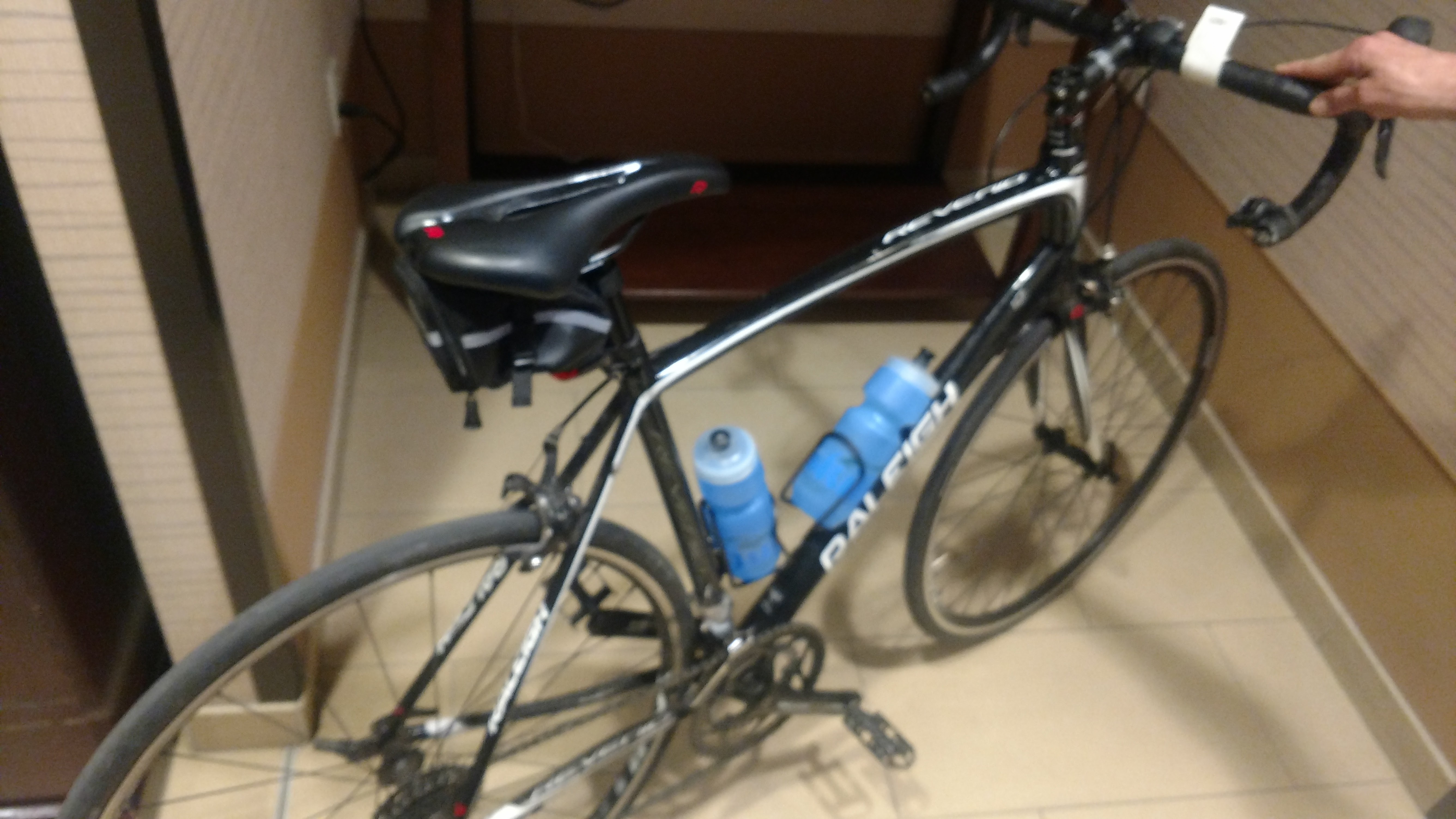 Stolen 2016 Raleigh Revenio