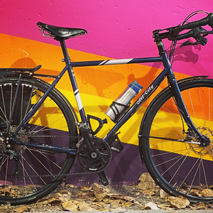 2021 All City Space Horse