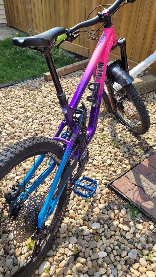 2021 Norco Bikes Shore 2