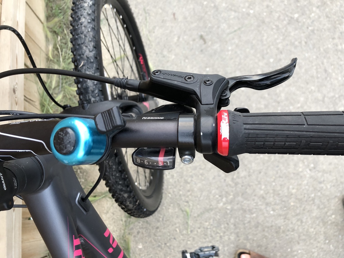 2019 Giant Liv Tempt 3