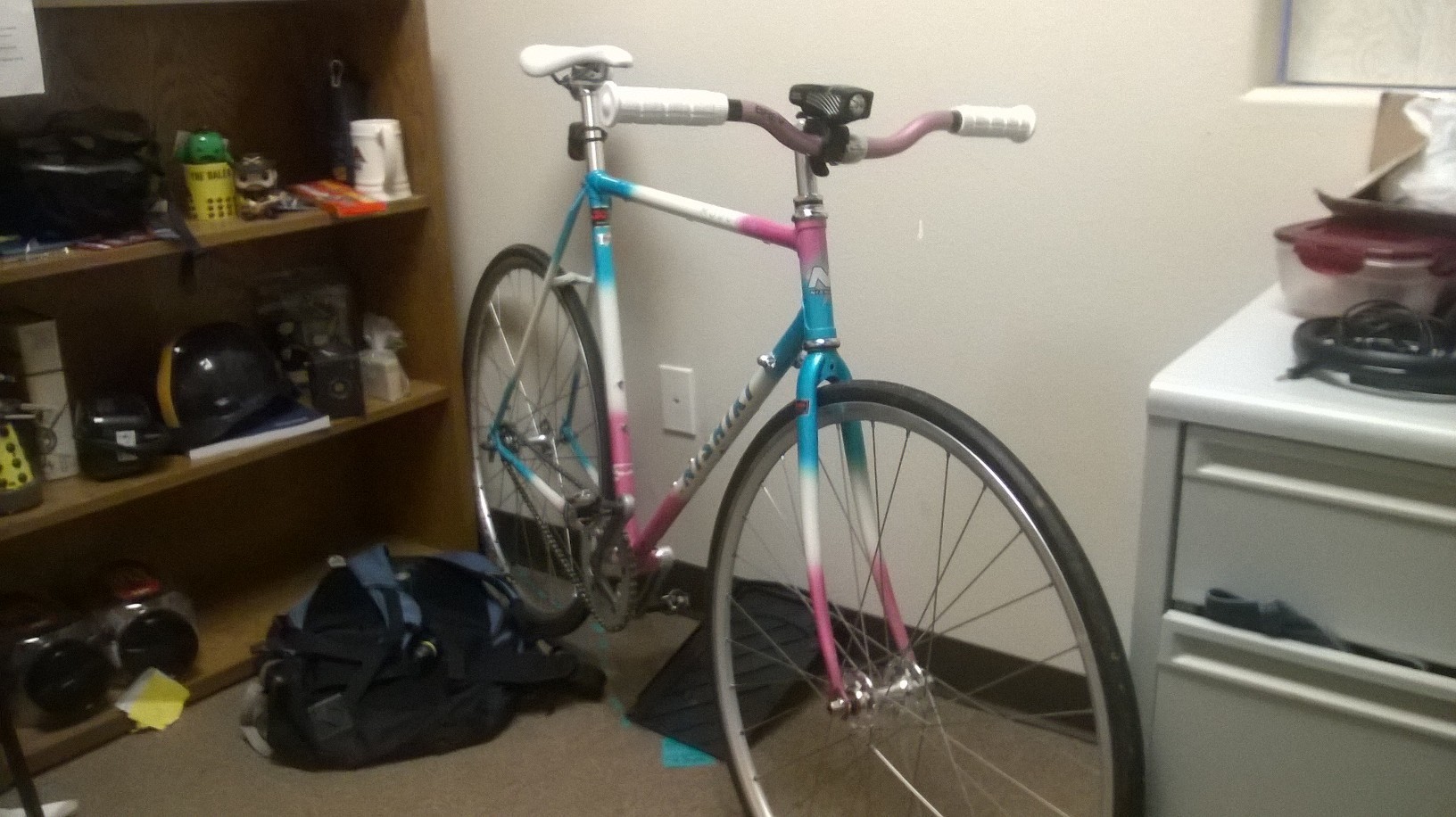 1987 Nishiki Modulus