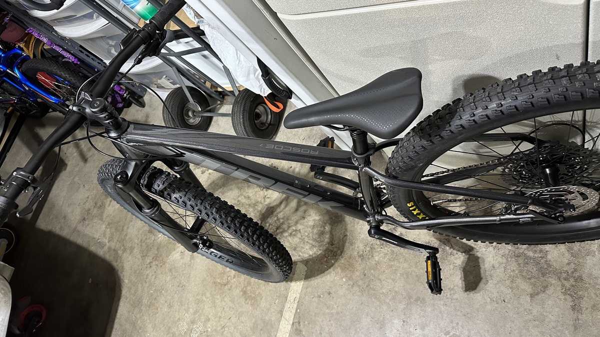 2021 Trek Roscoe