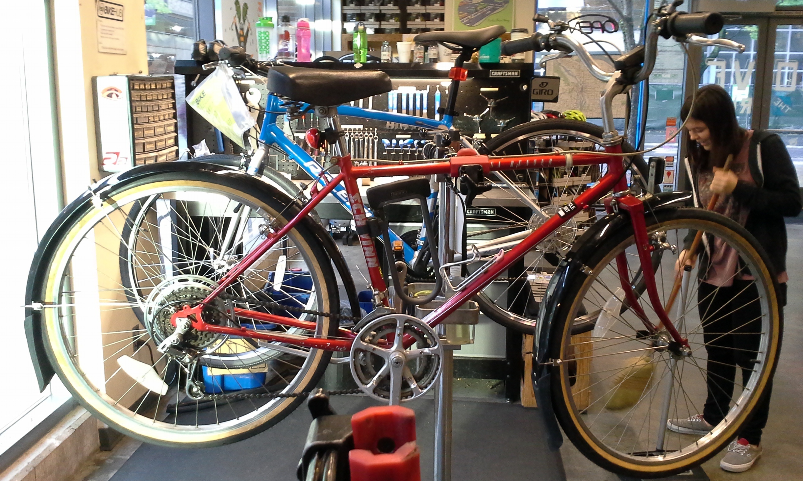 Schwinn Mesa Runner
