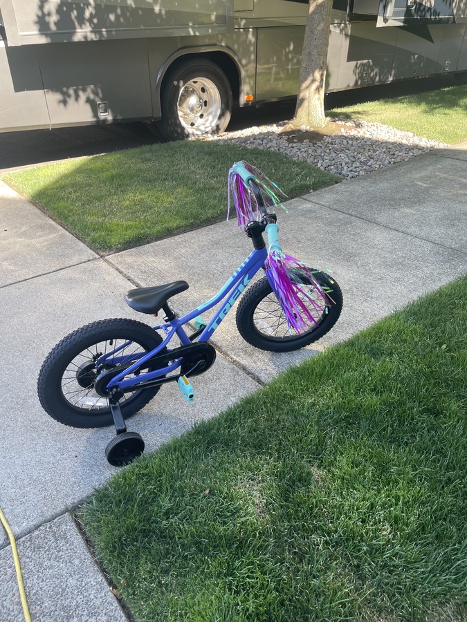 2023 Trek 16 ULTRA VIOLET