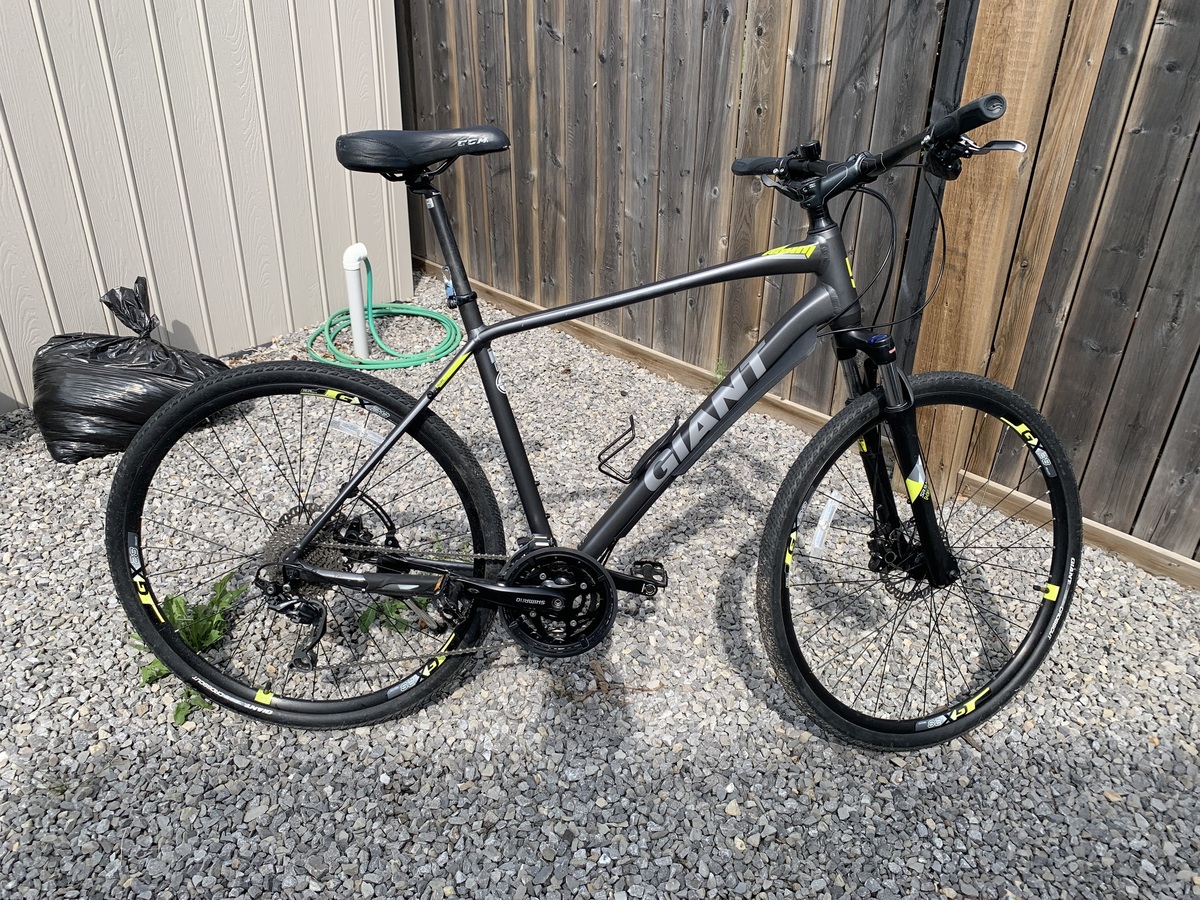2017 Giant Giant Roam 1