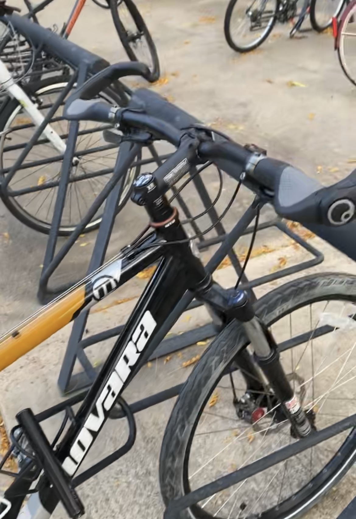 Stolen Novara HT