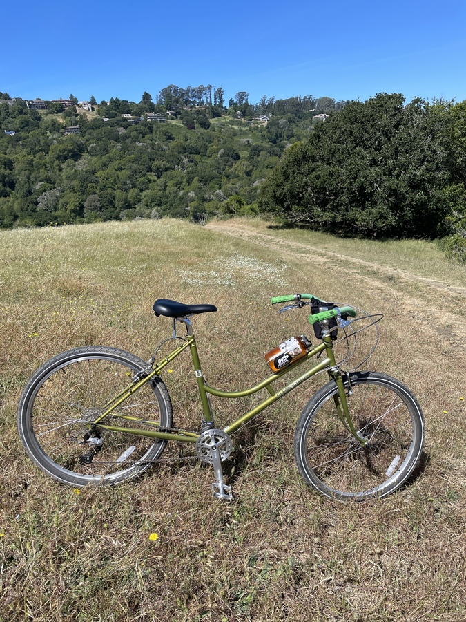 2021 Rivendell Bicycle Works Clem Smith Jr L