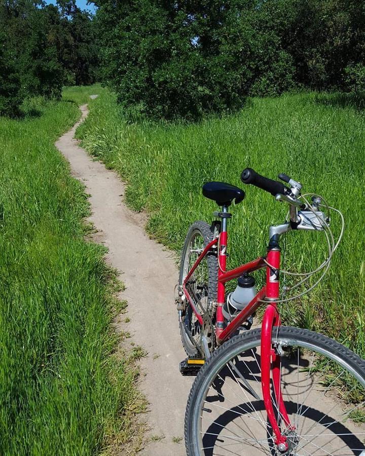 Sterling Bicycle Co. Women's