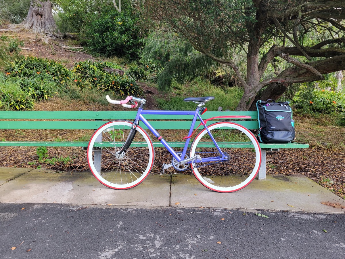 IRO Cycles Jamie Roy - custom purple paint job w...