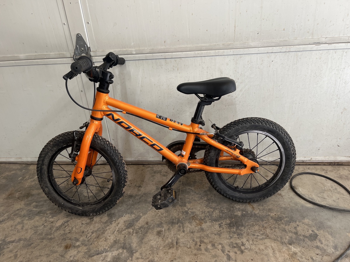 Norco Bikes ISO 8098 Child