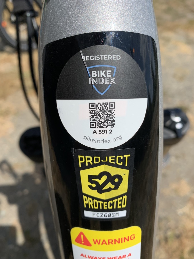 2021 Rad Power Bikes RadRunner Plus