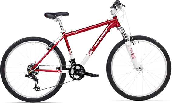 Stolen 2010 Novara Pika