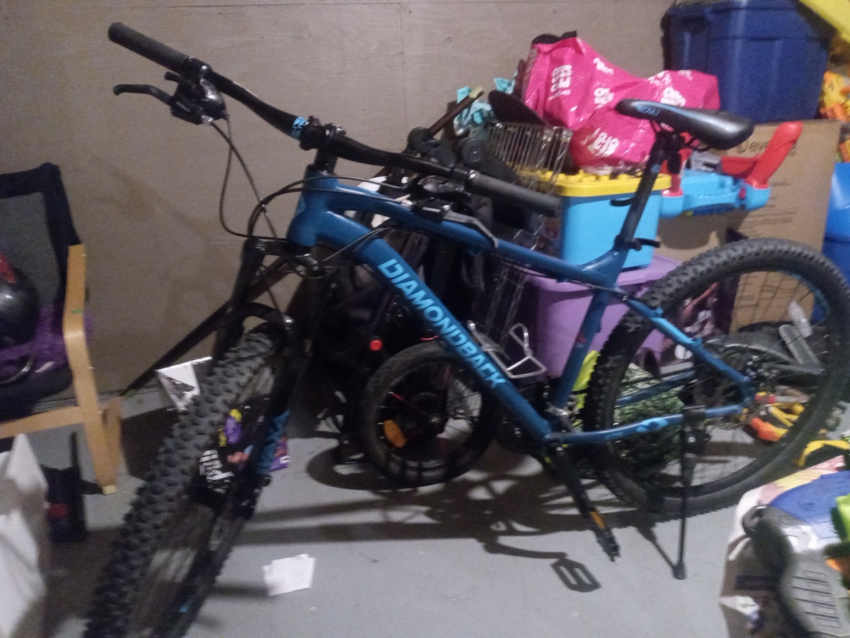 Diamondback Ridgeback