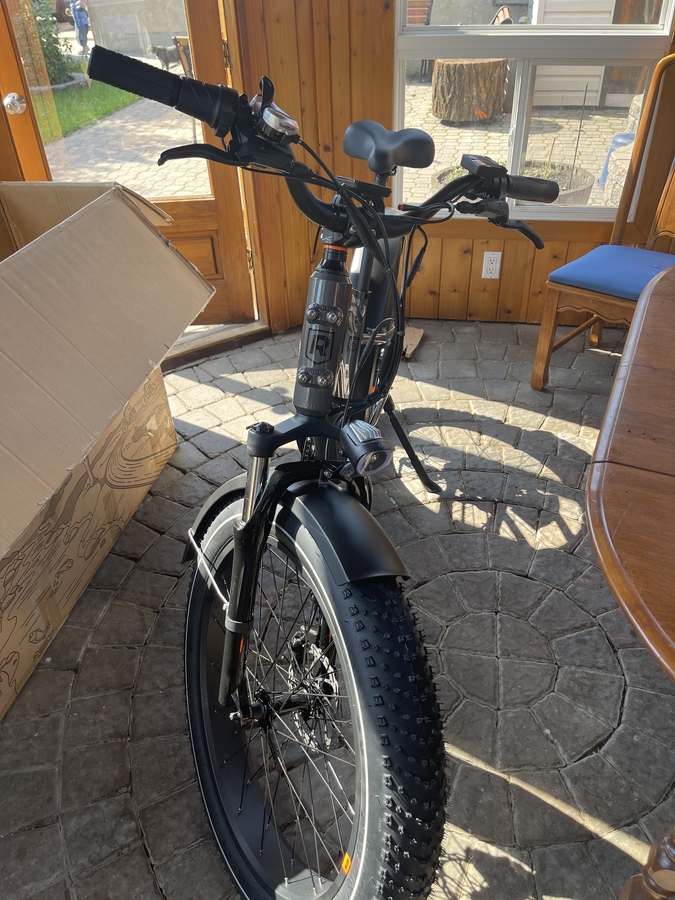 2022 Rad Power Bikes RadRover 6 HS