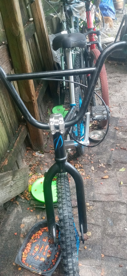 2011 Verde Eon