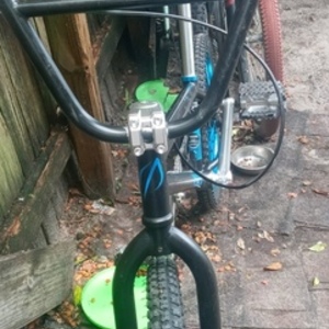 2011 Verde Eon