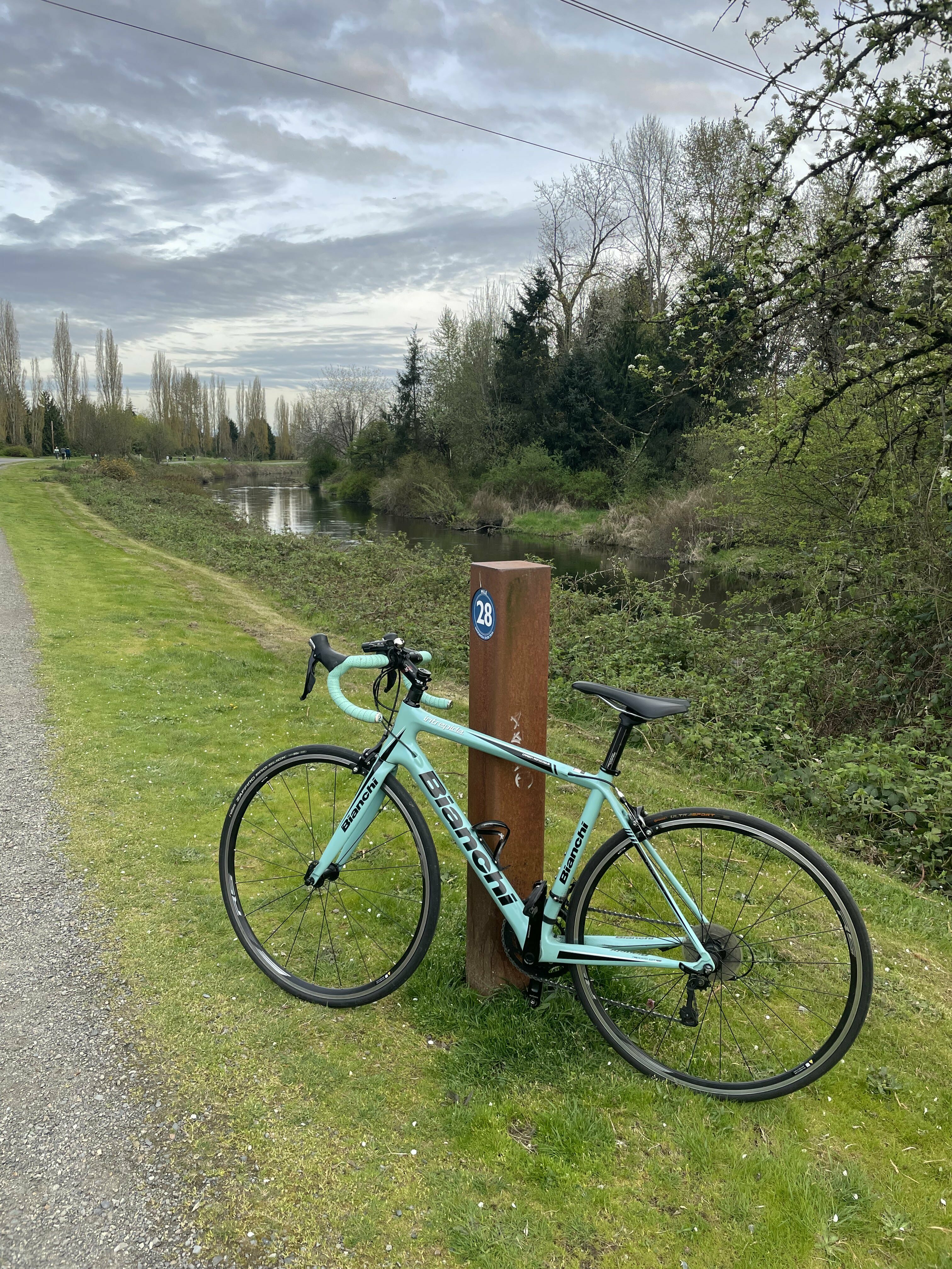 Bianchi Intrepida
