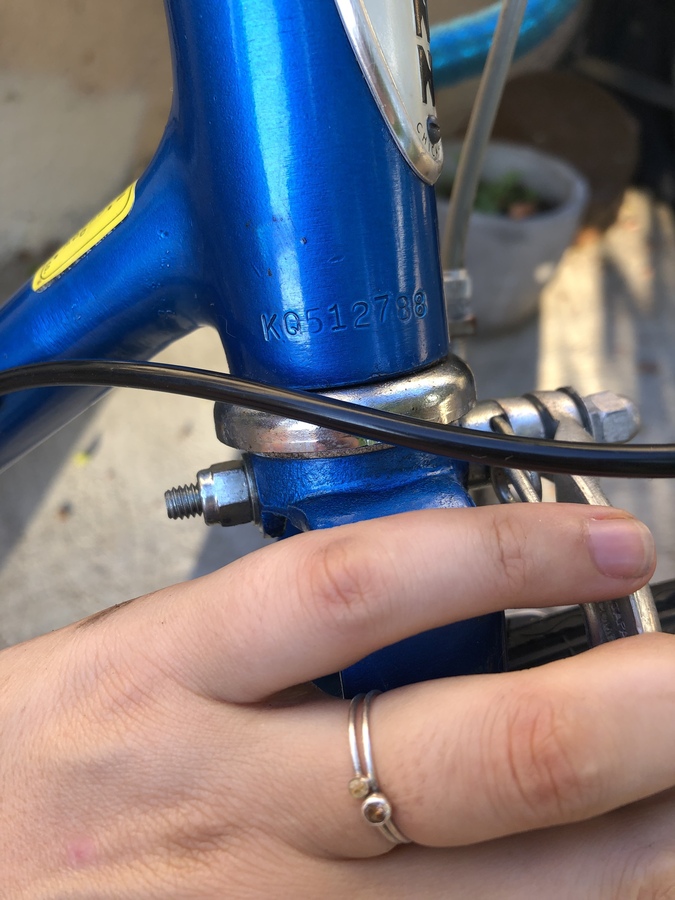 Schwinn Collegiate 7 Women S