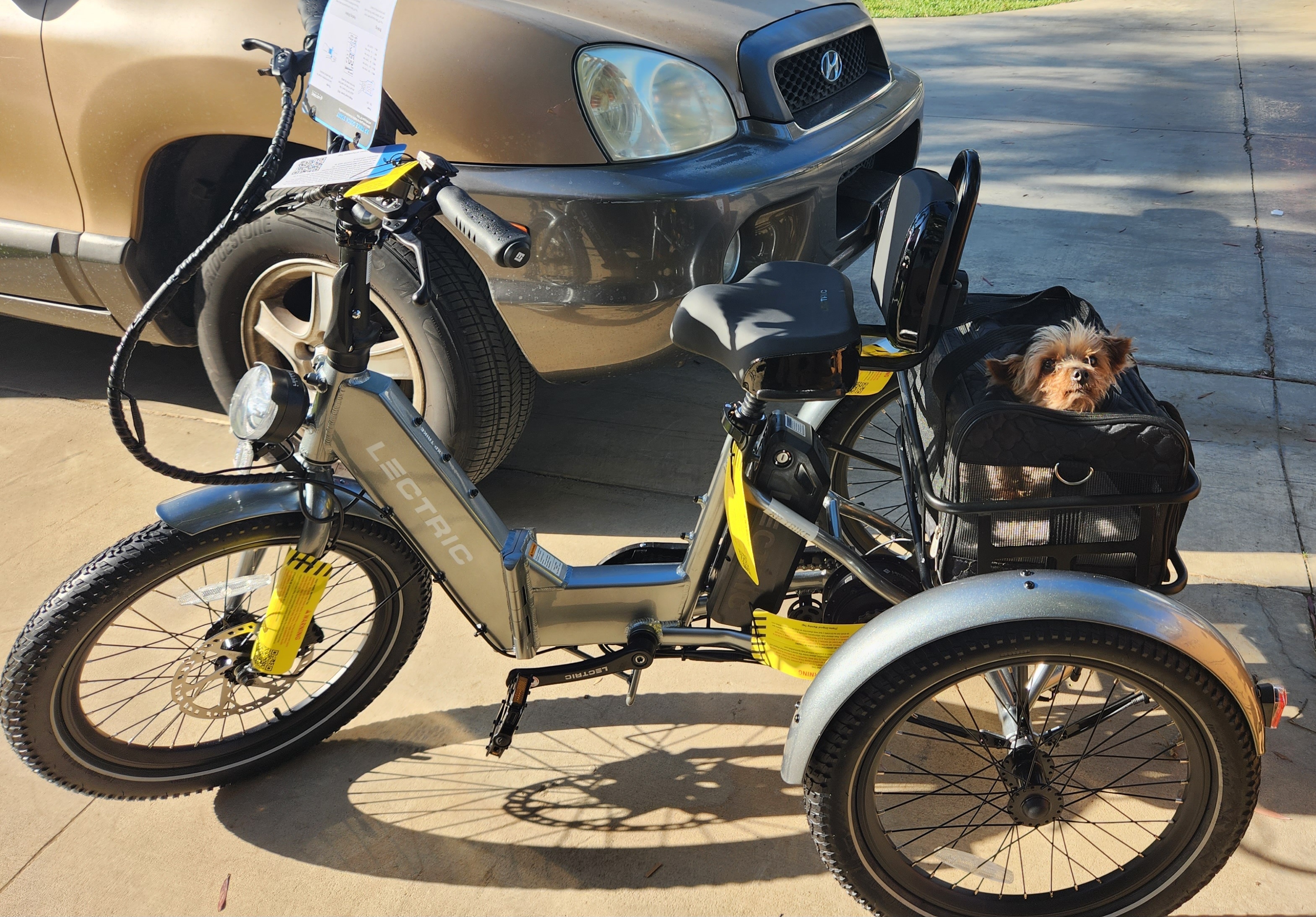 Lectric eBikes trike
