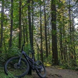 2023 Polygon Siskiu T8