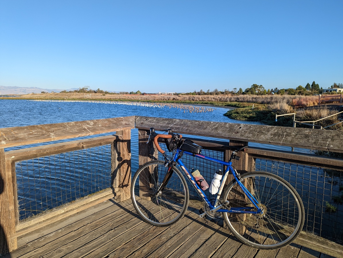 2009 Fuji Newest 3.0