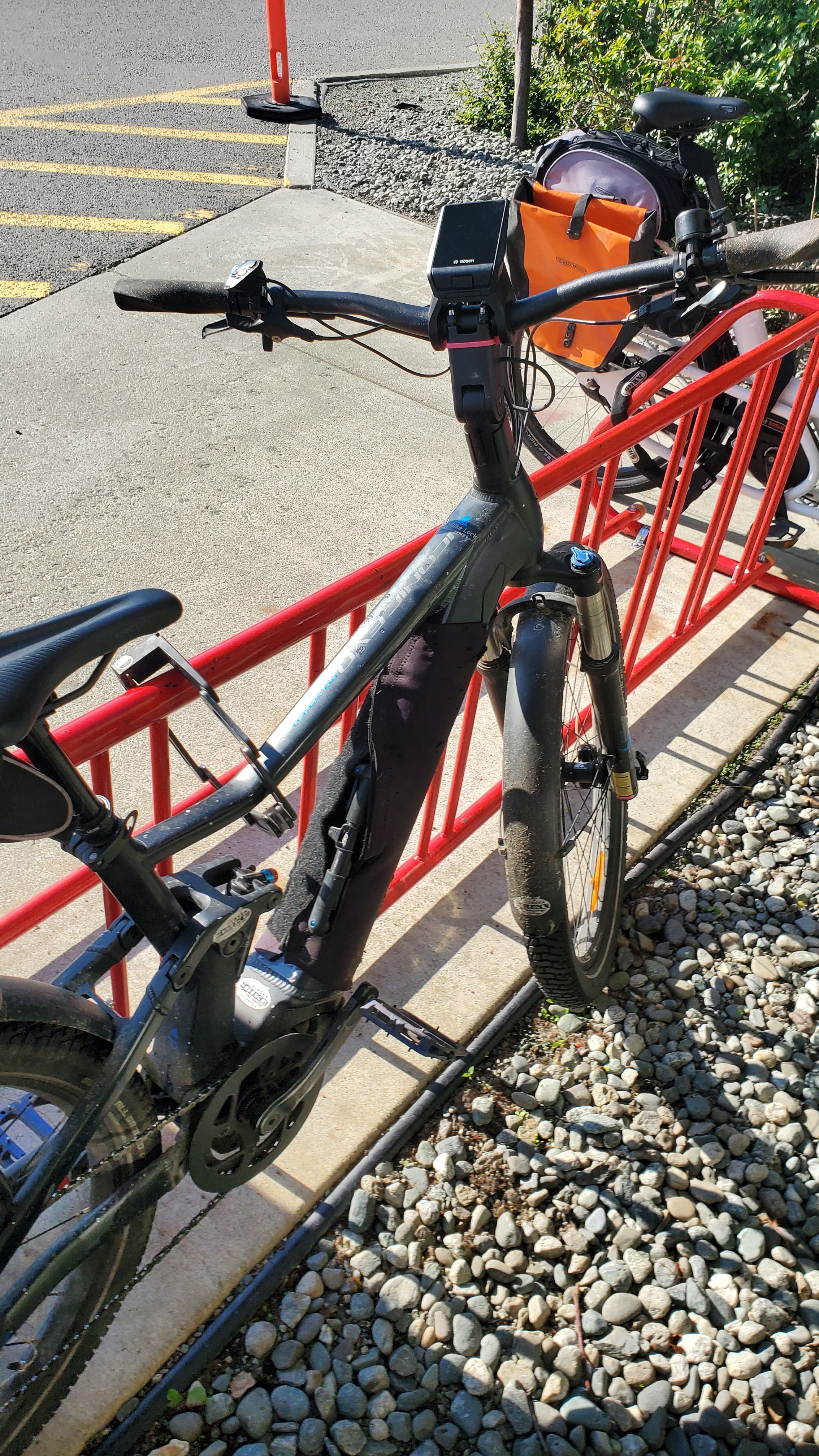 2020 BULLS Bikes Iconic Evo TR 1 Speed