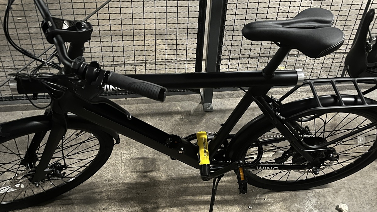 2022 Wing Bikes Freedom X