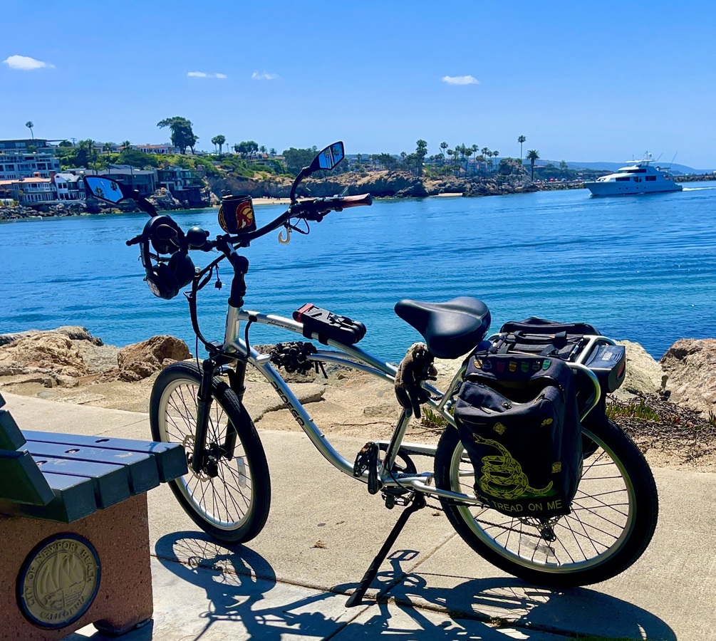 2022 Pedego Interceptor