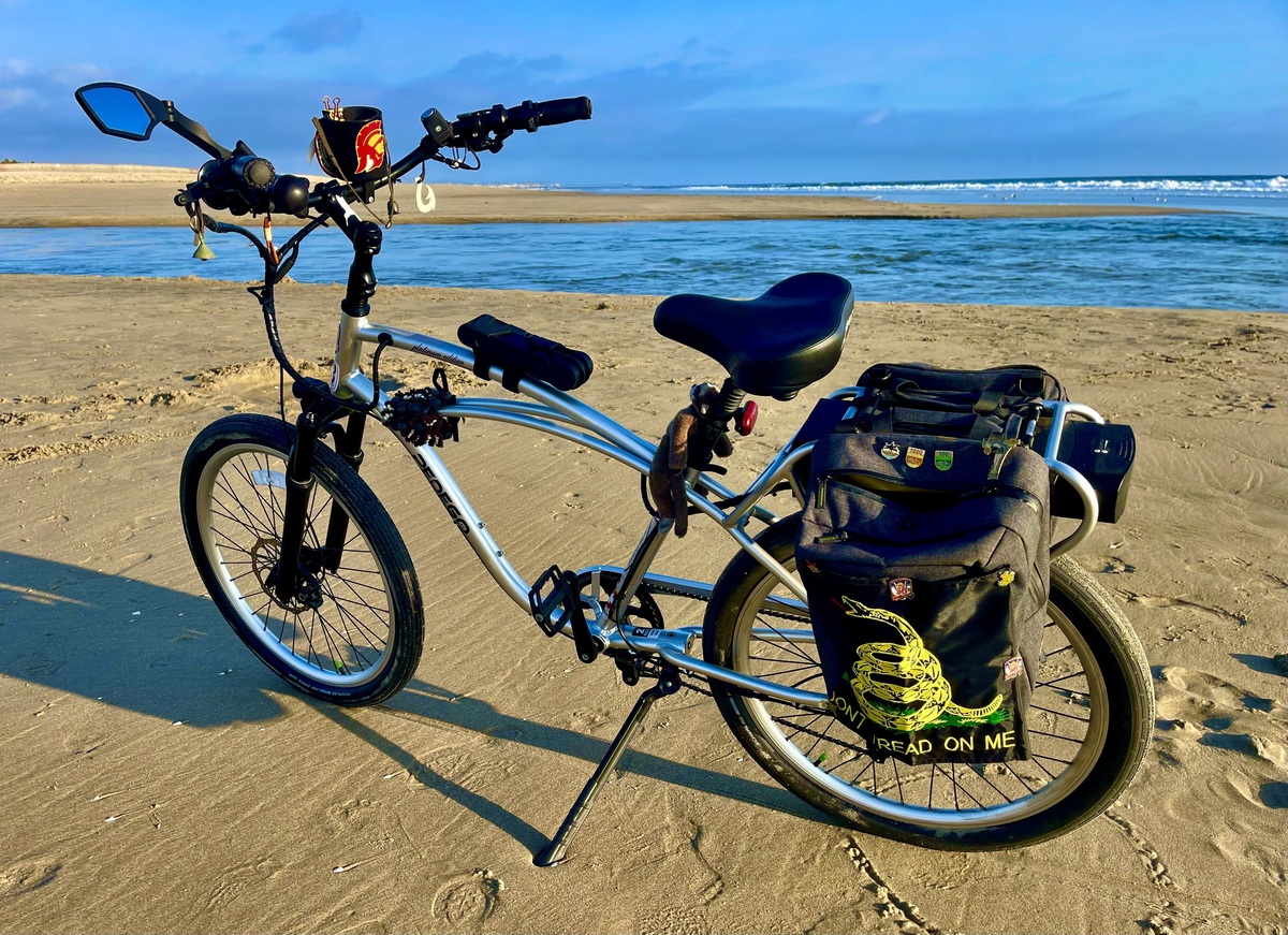 2022 Pedego Interceptor