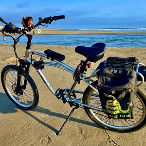 2022 Pedego Interceptor