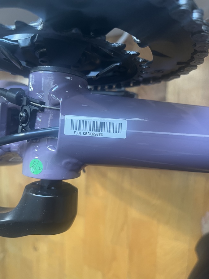 2022 Liv Liv Alight DD Disc 2