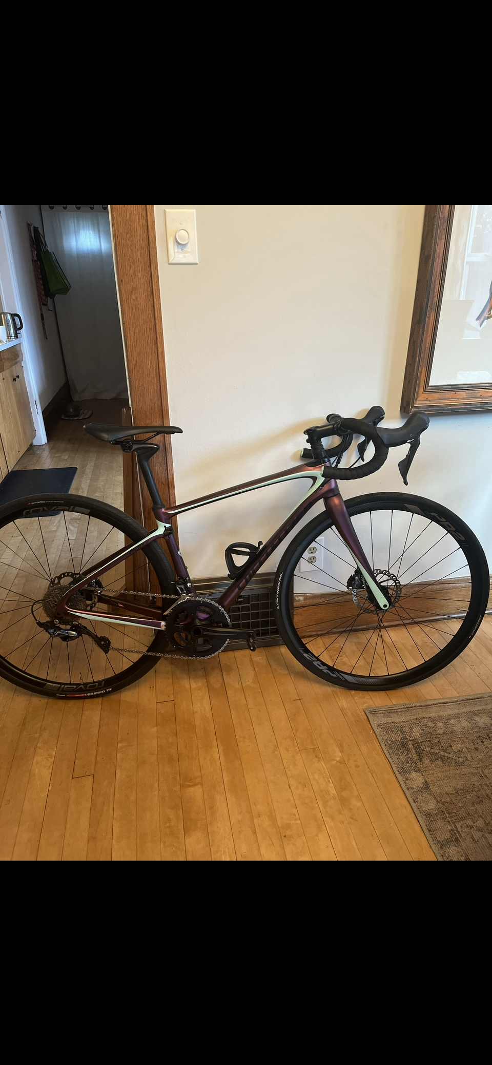 Stolen 2019 Specialized Ruby Comp